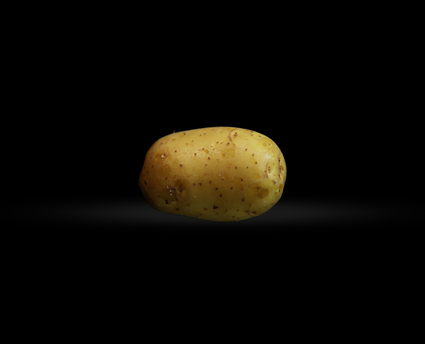 Aardappelen – Jansen Dongen